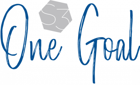 S3 One Goal | Auction Management Software